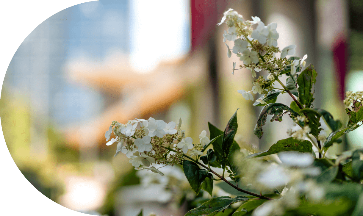 About London Stratford Cross | Stratford Cross